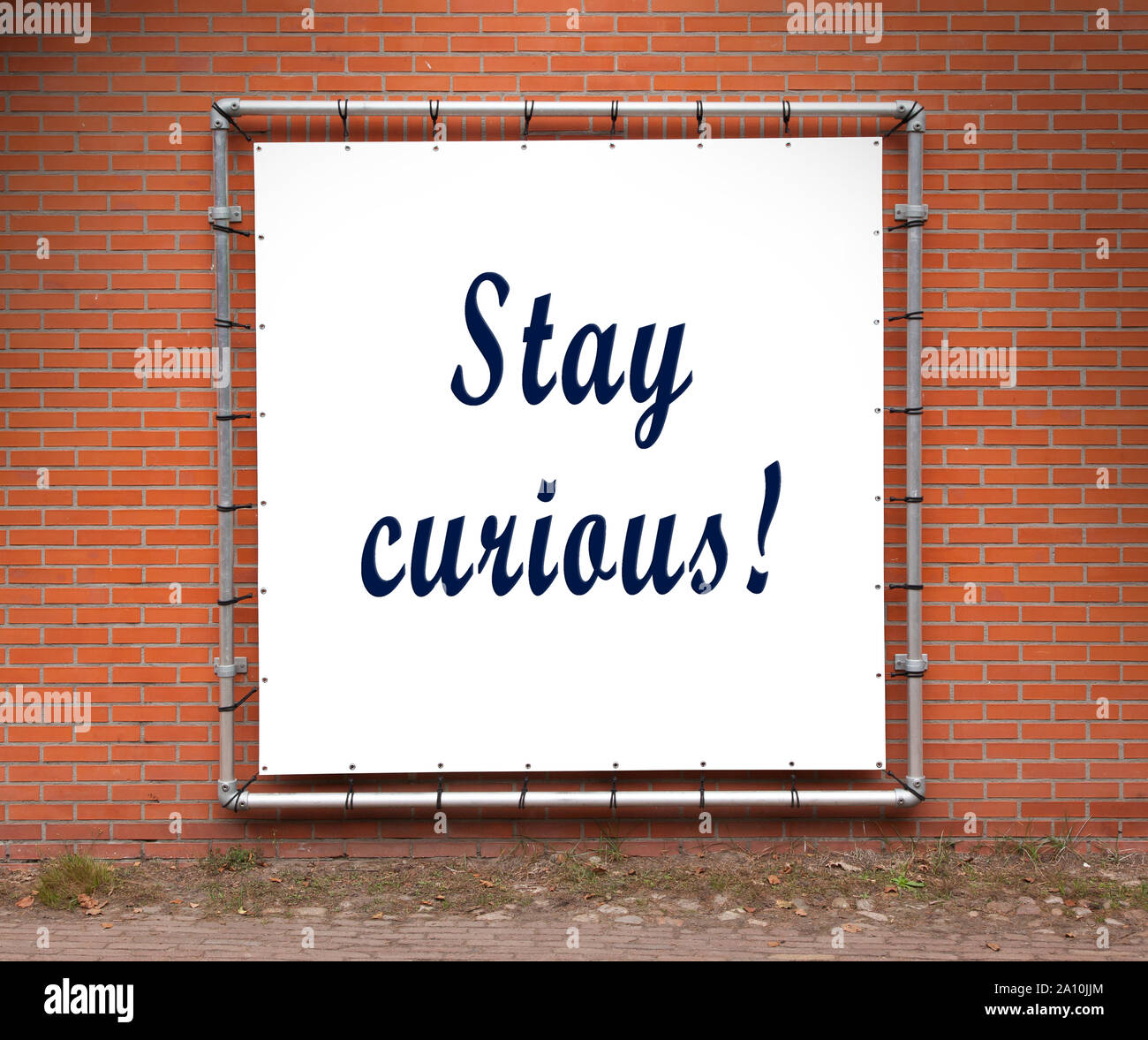 Stay curious hi-res stock photography and images - Alamy