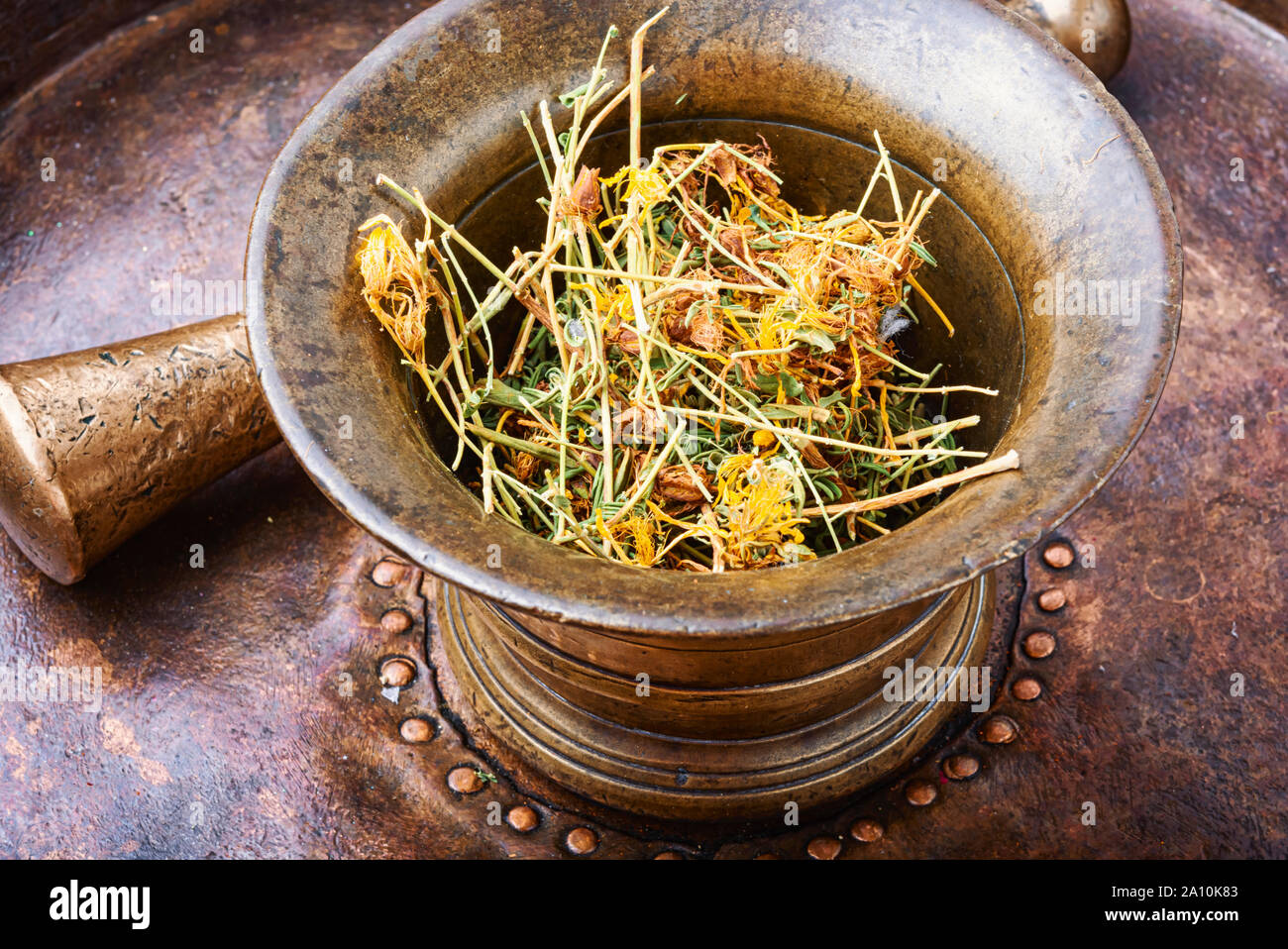 Dry medicinal hypericum.Medicinal herbs and alternative medicine Stock ...