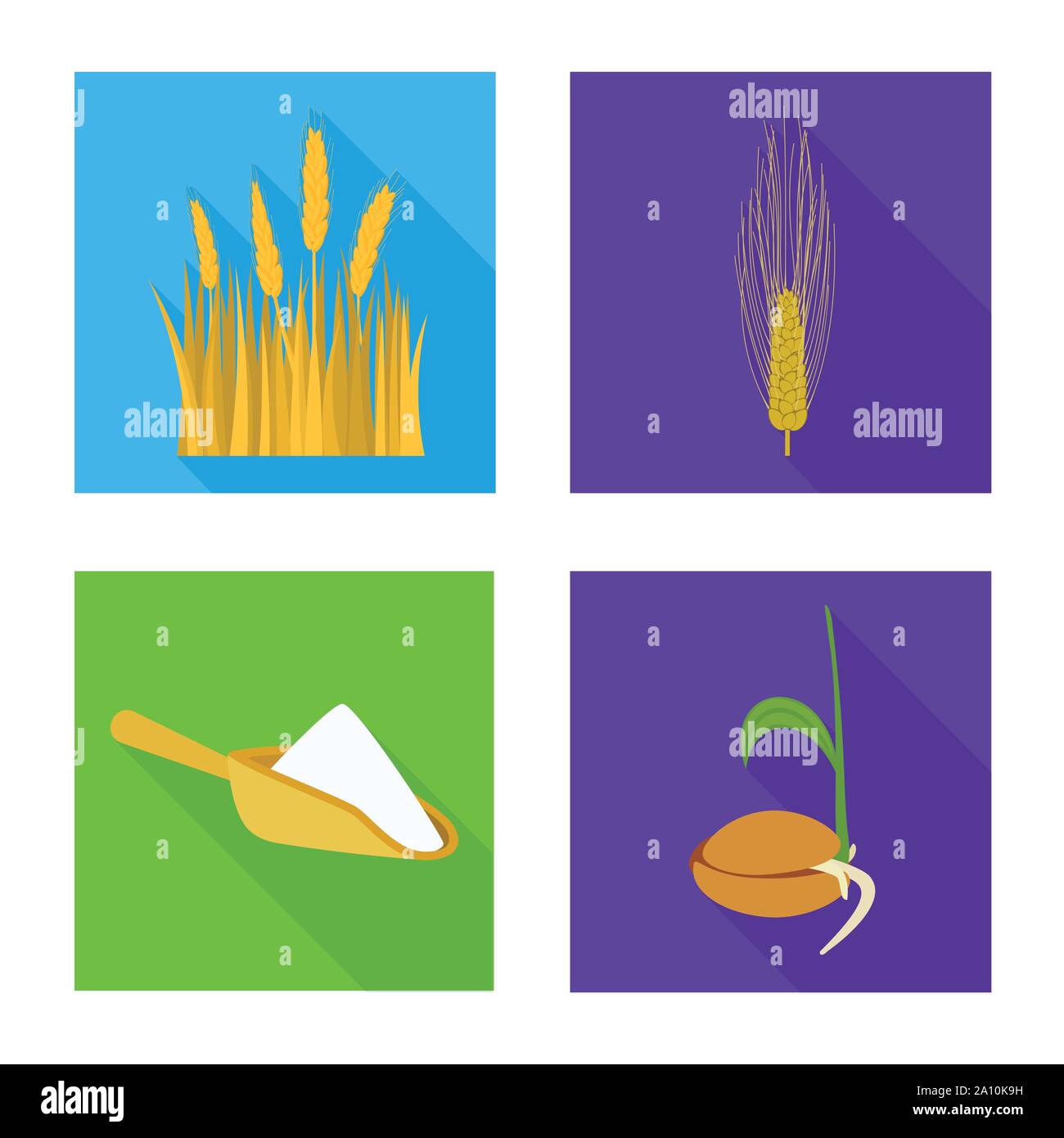 Vector Vectors Stock Vector Image & Art - Alamy