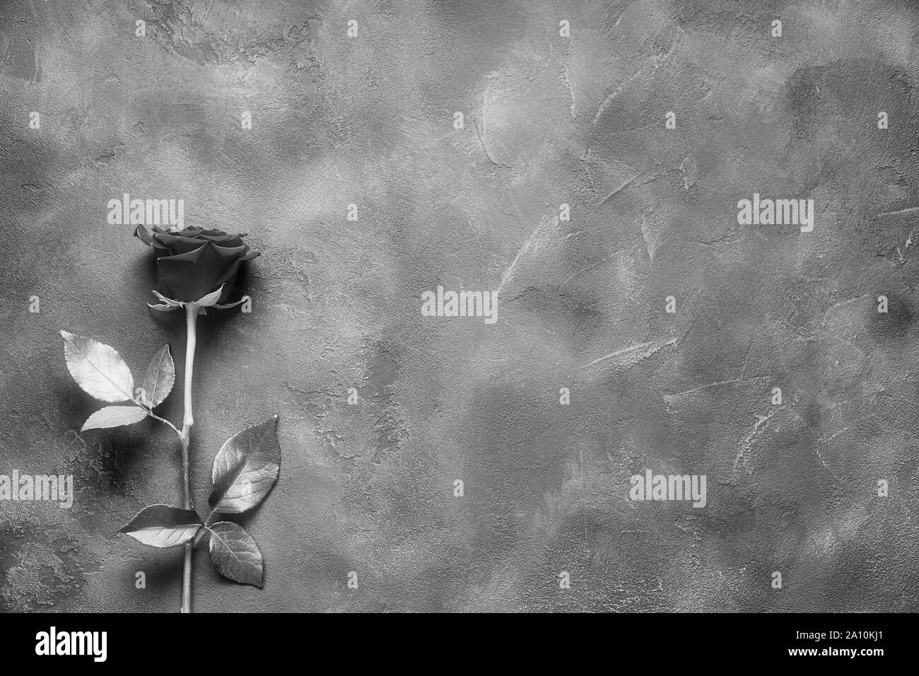 Rose on stone Black and White Stock Photos & Images - Alamy