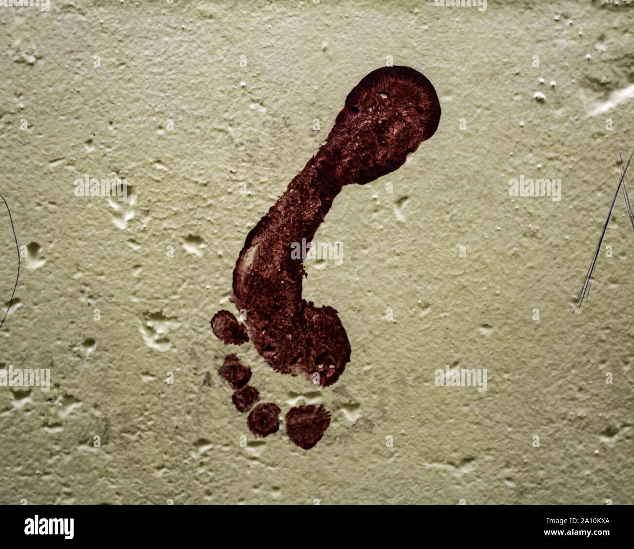 Footprints painted on wall, symbol and texture Stock Photo - Alamy