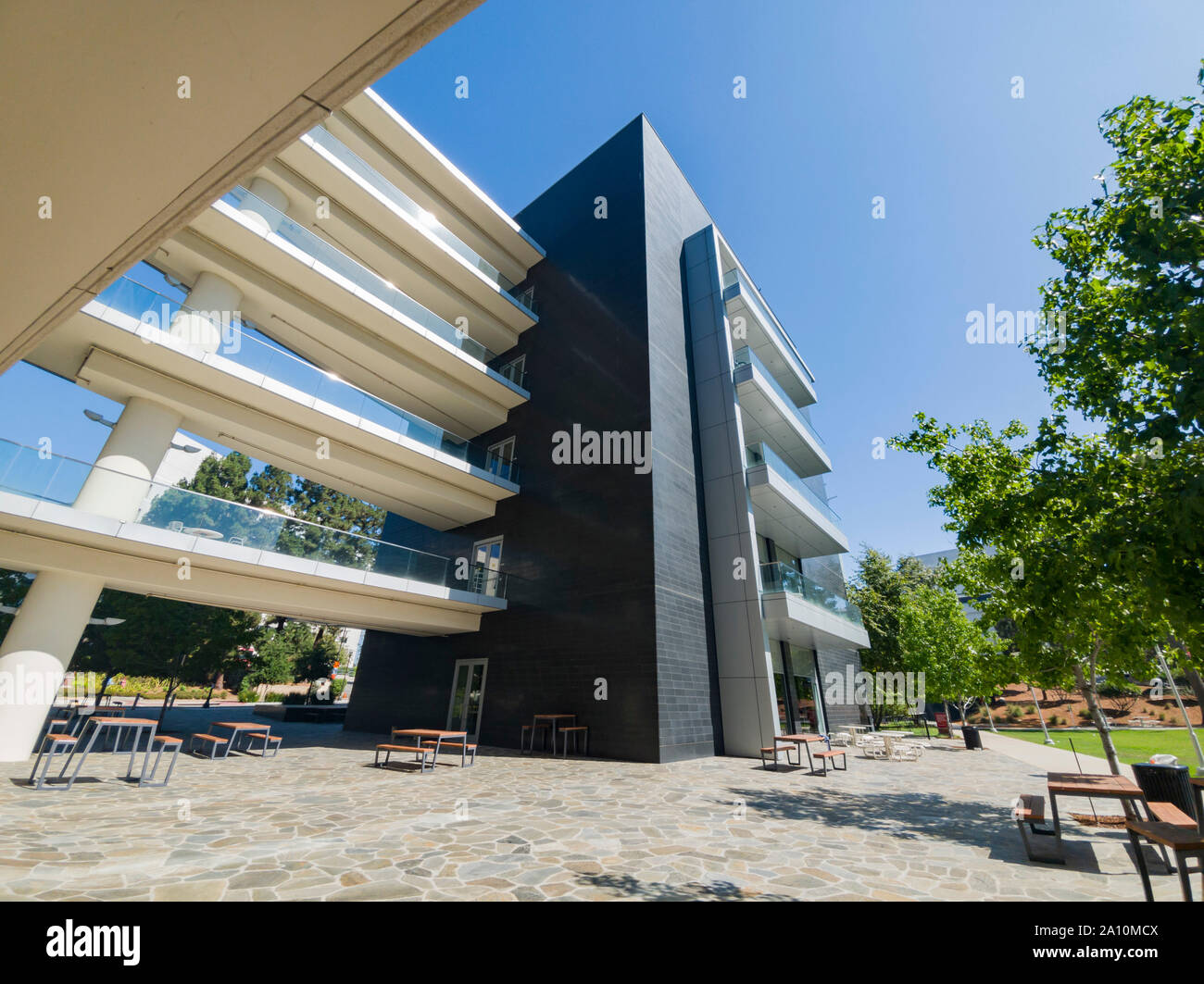 Usc stem cell hi-res stock photography and images - Alamy