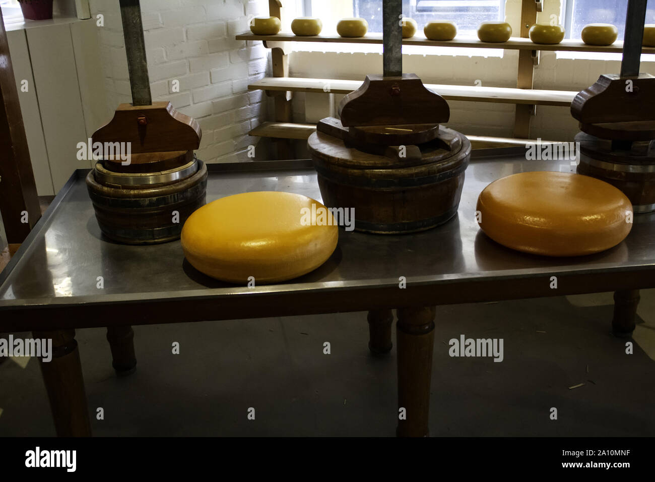 Dutch cured cheeses, typical foods, dairy products Stock Photo - Alamy