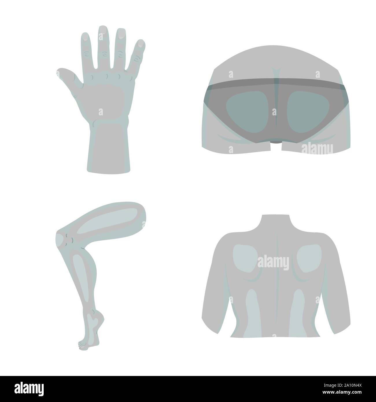 Isolated object of body and part symbol. Set of body and anatomy stock ...
