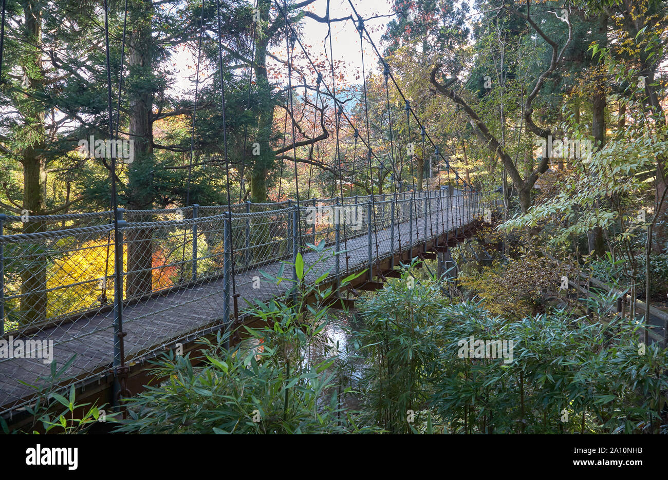A rope suspension bridge which crosses a small pond going through the ...