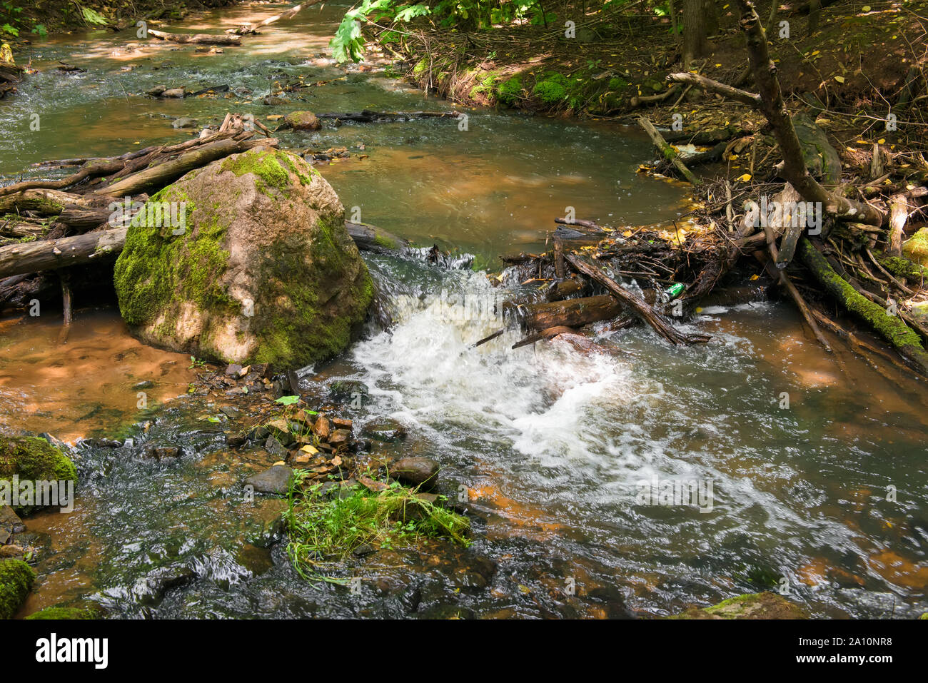 Chalpa River with a cascade of waterfalls. Russia Novgorod region ...