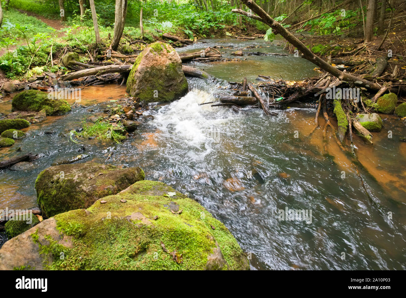 Chalpa River with a cascade of waterfalls. Russia Novgorod region ...