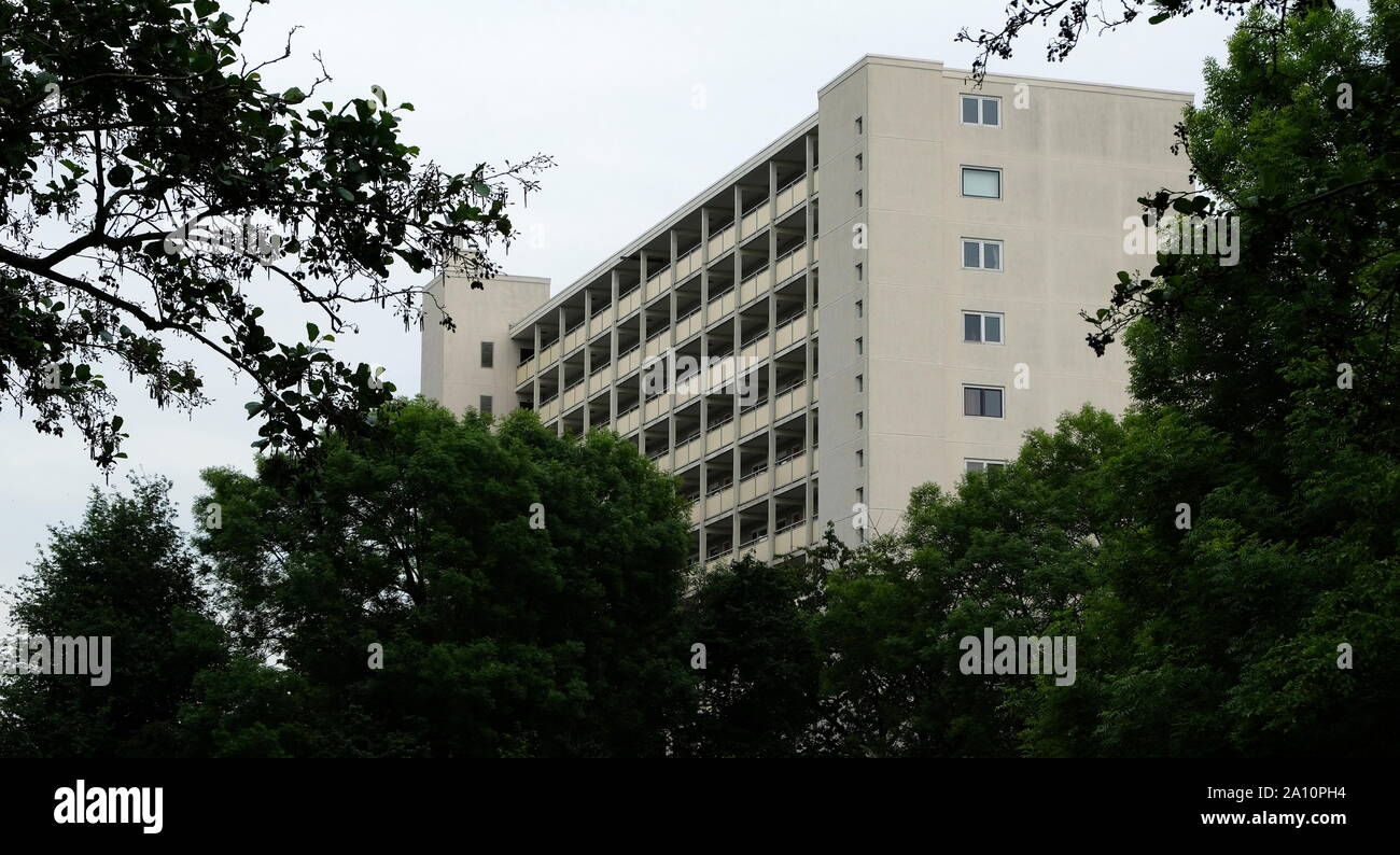 Big tree behind building hi-res stock photography and images - Alamy