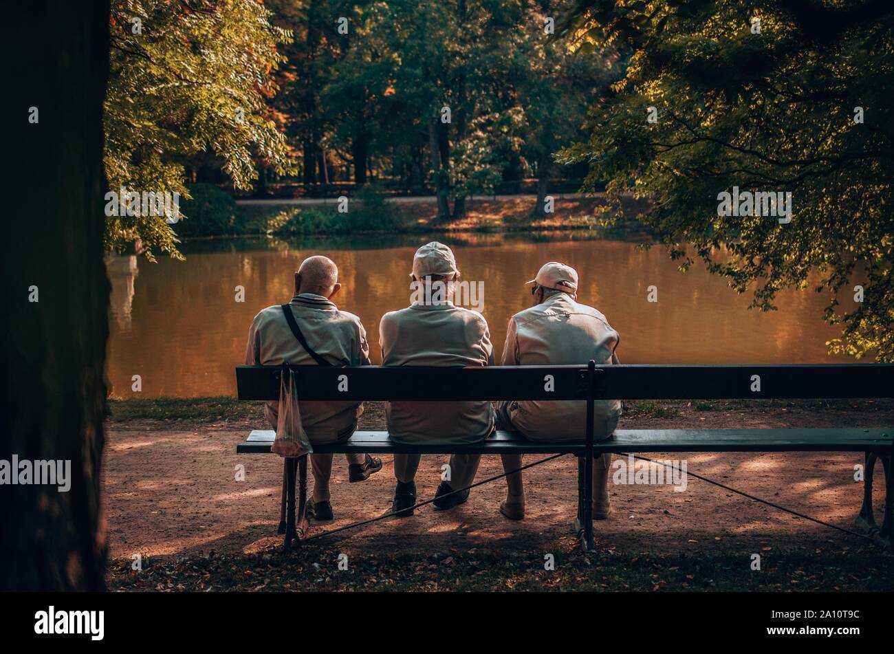 Group elderly talking friends hi-res stock photography and images - Alamy