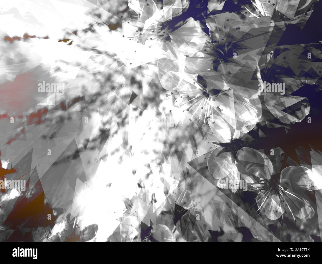 Abstract background with flowers breaking apart, shattered glass effect ...