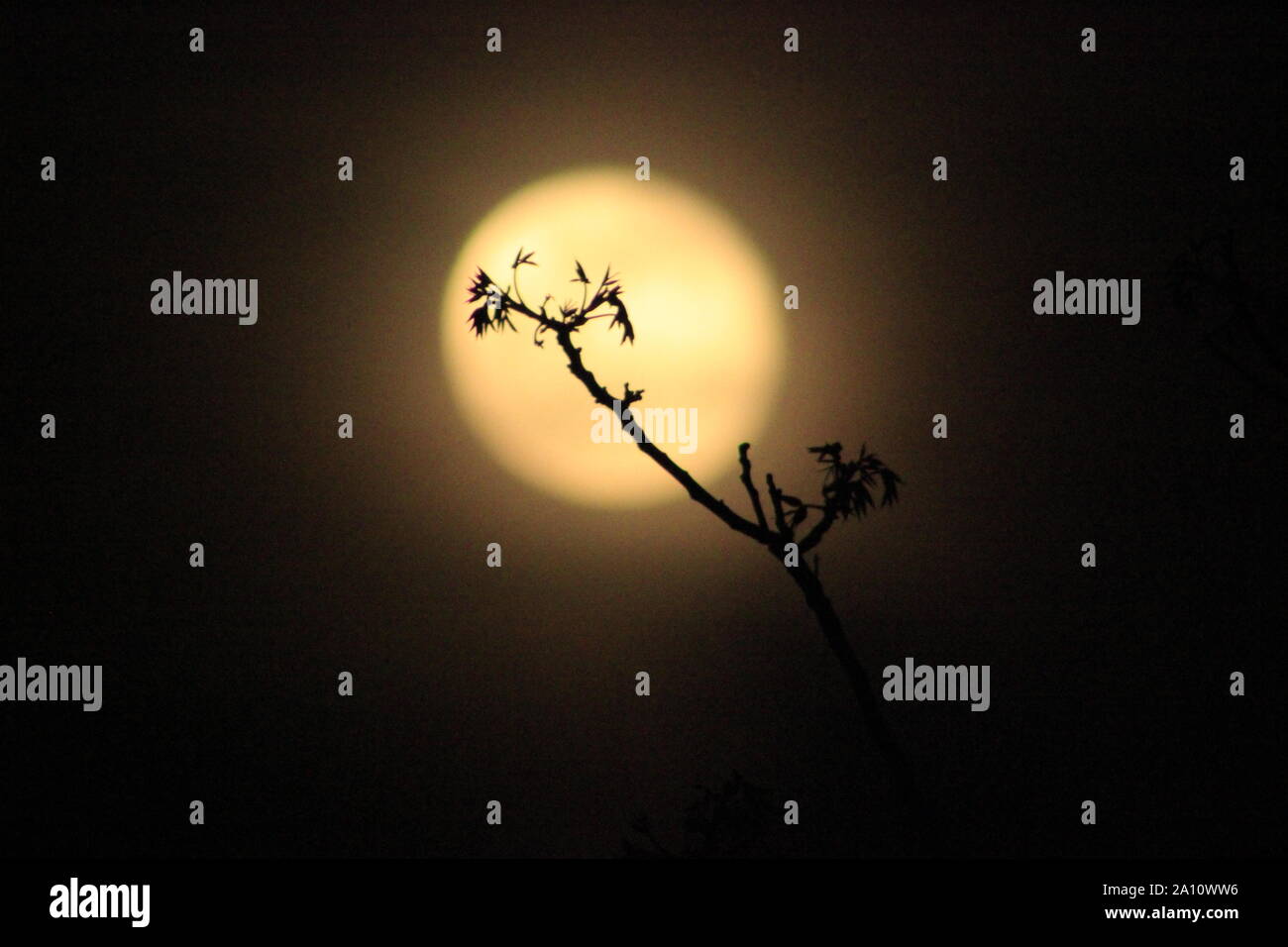 Luna di colore hi-res stock photography and images - Alamy