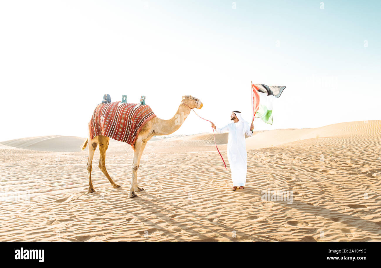 Camel wearing uae flag hi-res stock photography and images - Alamy
