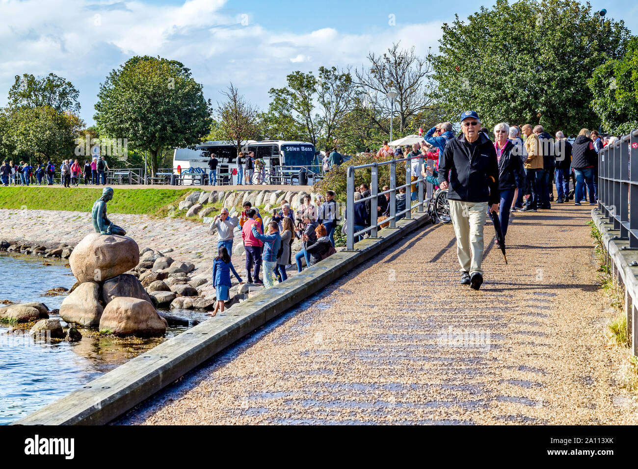 The statue of the Little Mermaid on the shoreline, Copenhagen, Denmark ...