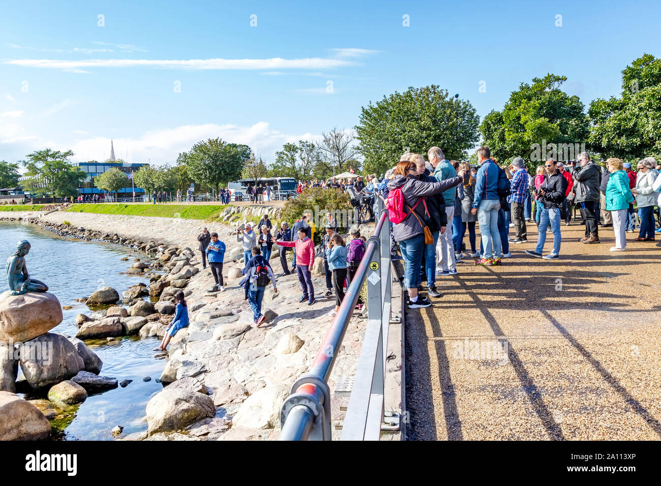 The statue of the Little Mermaid on the shoreline, Copenhagen, Denmark ...