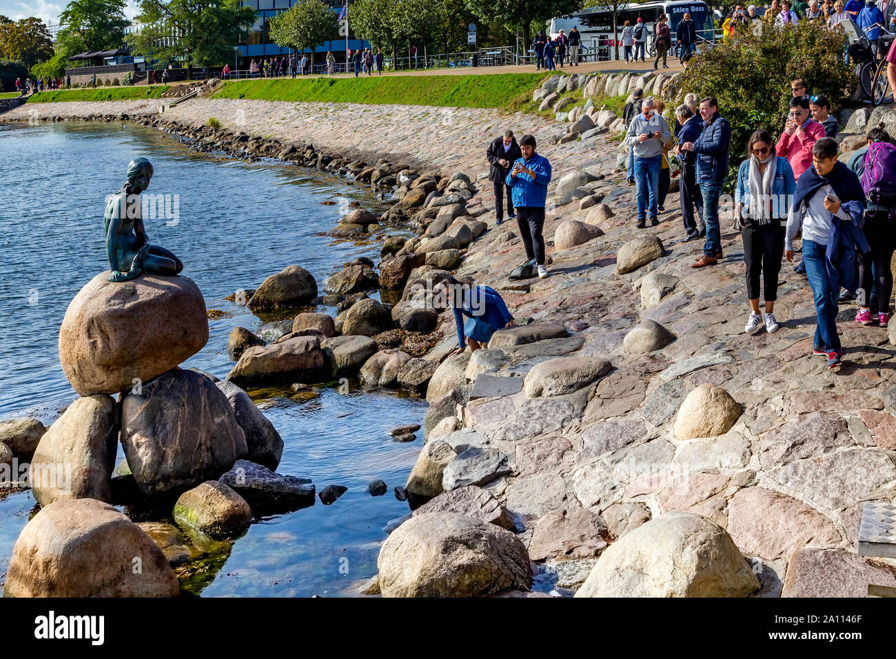 The statue of the Little Mermaid on the shoreline, Copenhagen, Denmark ...