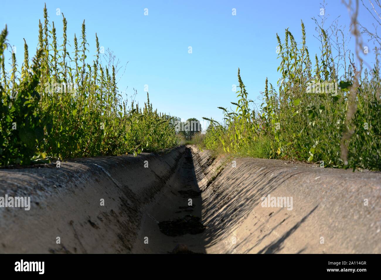a dry irrigation channel Stock Photo - Alamy