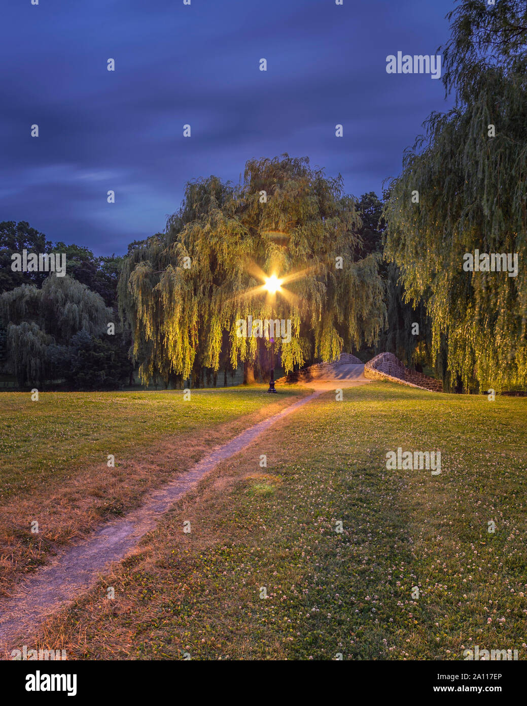 Vertical Night View of the Upper Onondaga Park Footbridge (5:4 Ratio ...