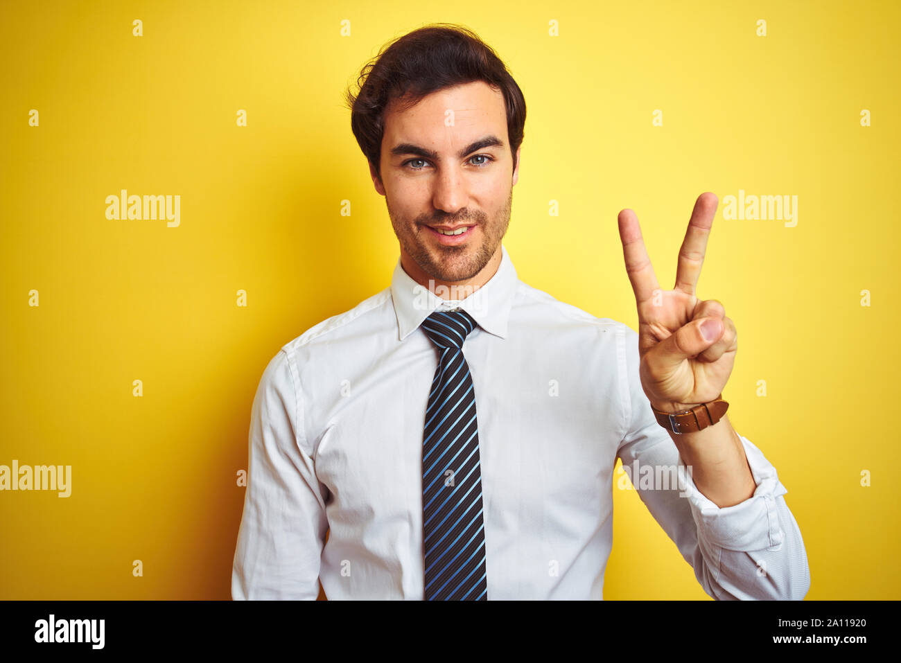 Young handsome businessman wearing elegant shirt and tie over isolated ...