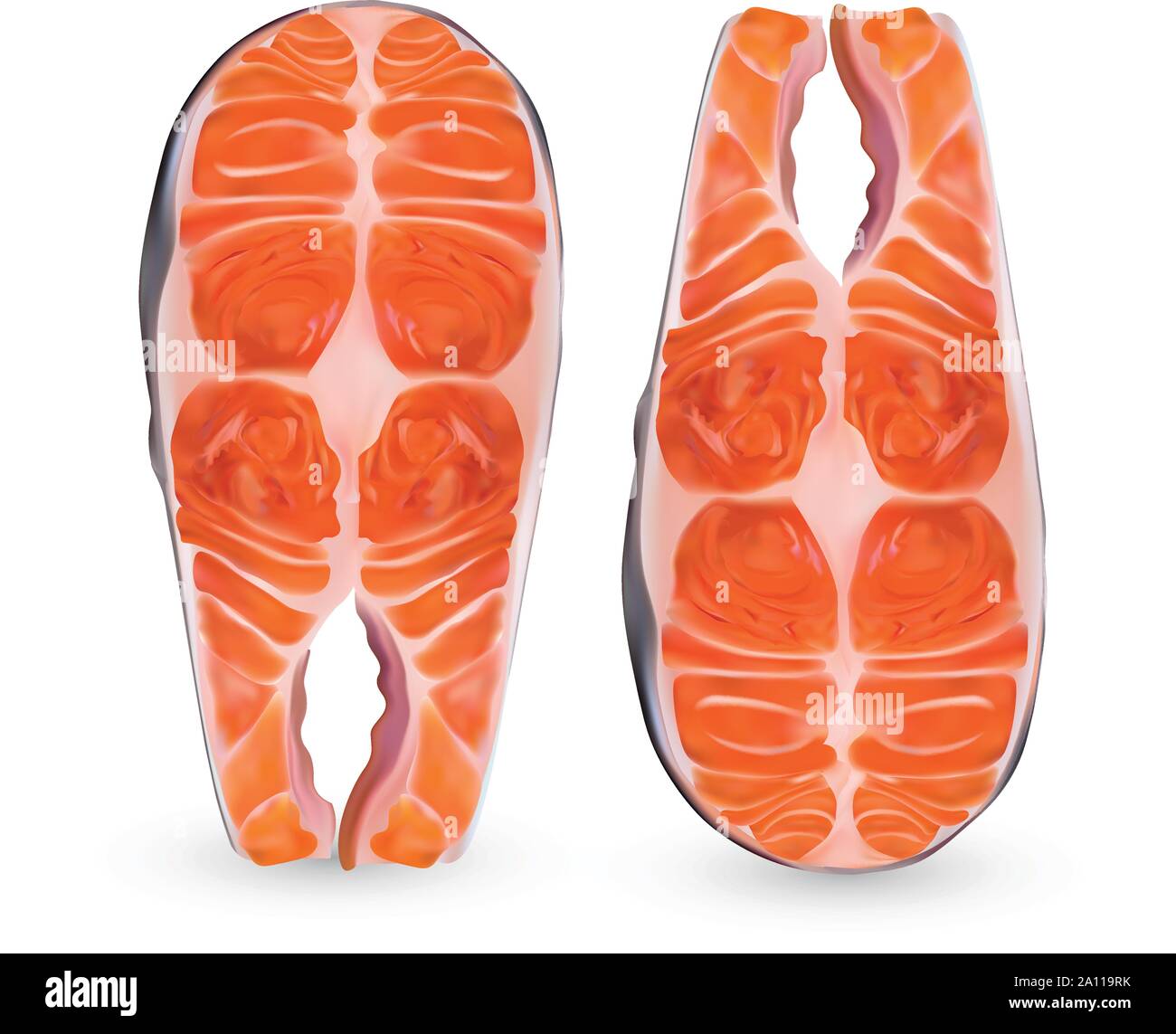 Fresh raw fillet sea Stock Vector Images - Alamy