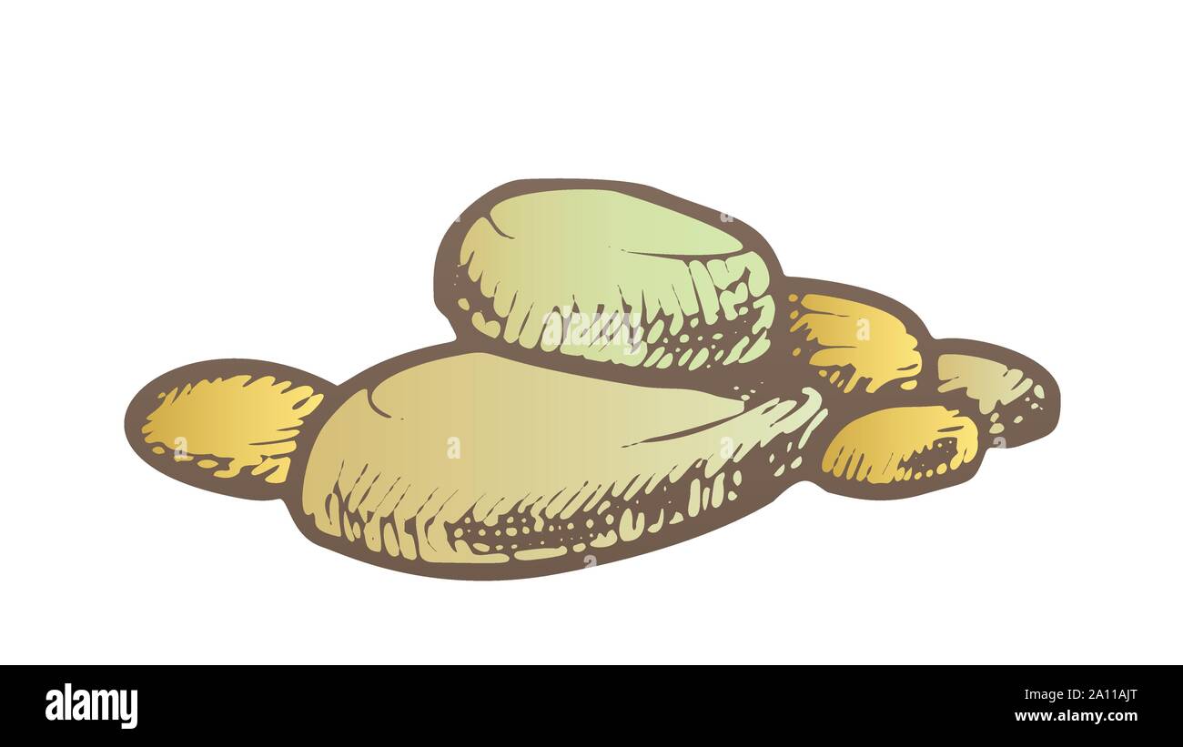 Stone Decorative Rock Stacked Pile Color Vector Stock Vector Image ...