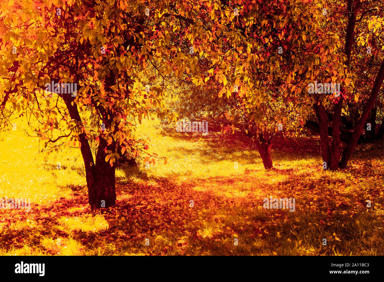 Seasonal travel, retro backdrop and rural environment concept ...