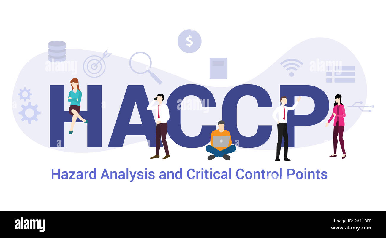 haccp hazard analysis and critical control points concept with big word or text and team people ...