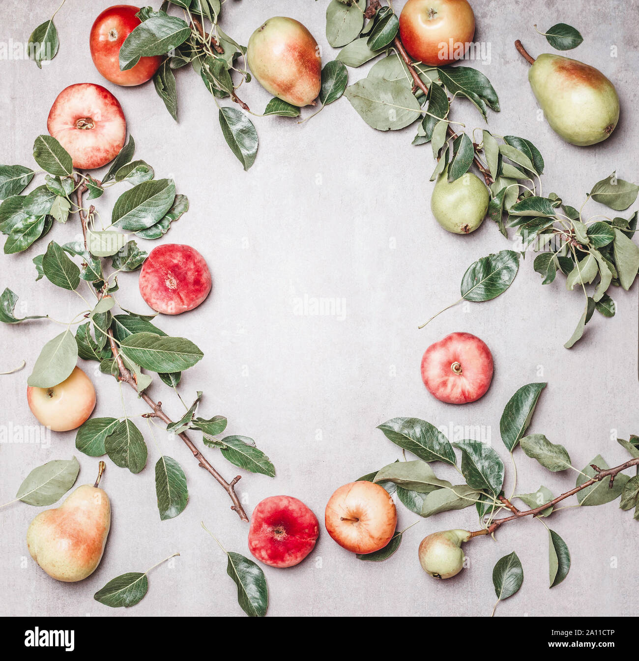 Seasonal garden fruits: apples, pears, peaches with branches and leaves ...