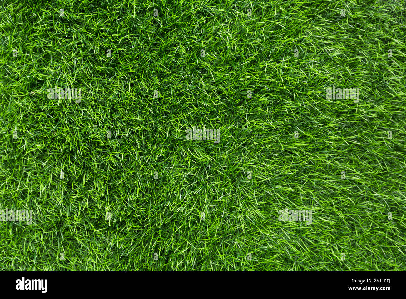 Summer green grass for picnic on open air, fresh cut lawn Stock Photo ...