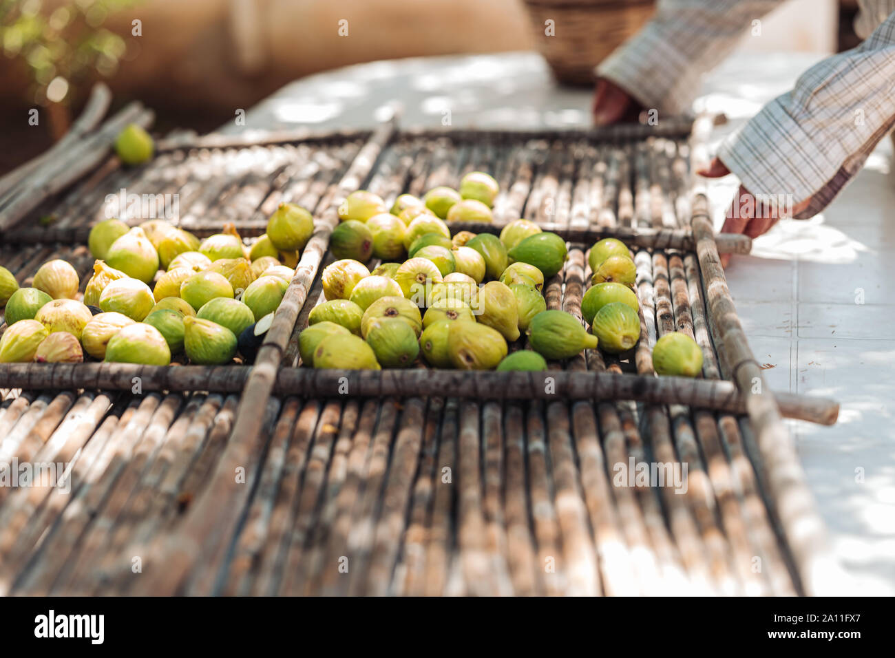 Fresh raw figs drying at the sun in Puglia, Italuy Stock Photo - Alamy