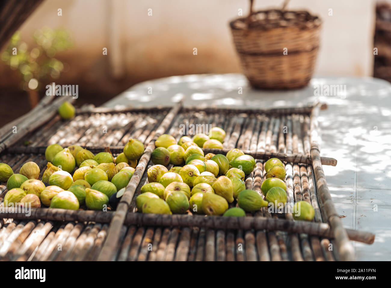 Fresh raw figs drying at the sun in Puglia, Italuy Stock Photo - Alamy