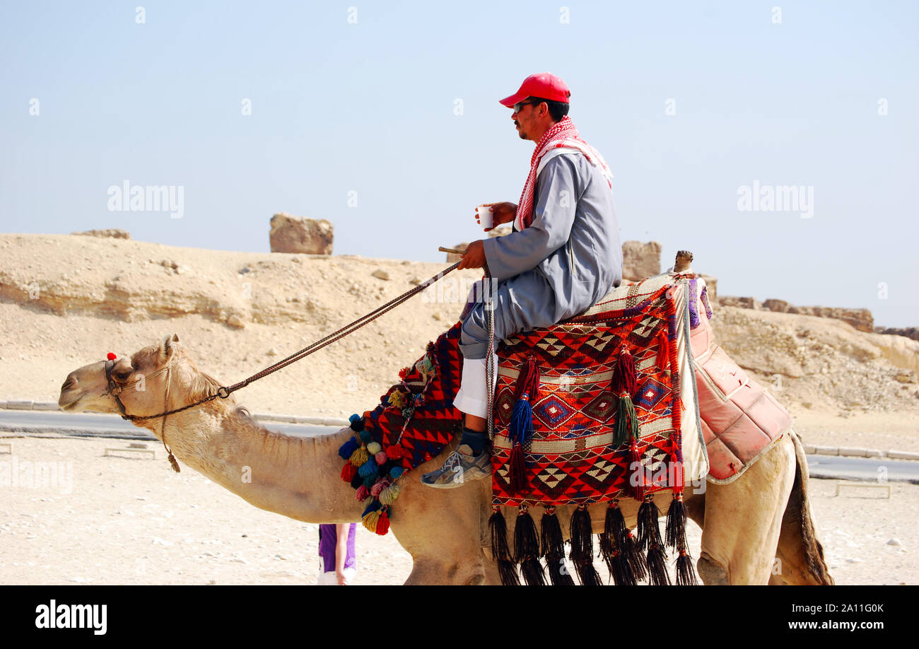 Cairo / Giza, Egypt - May 7, 2008 - Camel rider in the desert of Sahara ...