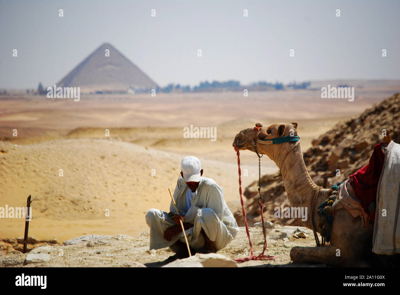 Cairo / Giza, Egypt - May 7, 2008 - Camel rider in the desert of Sahara ...