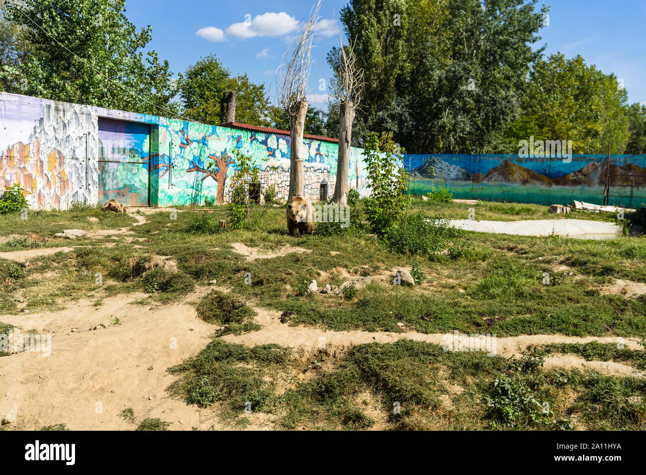 Romania zoo hi-res stock photography and images - Alamy