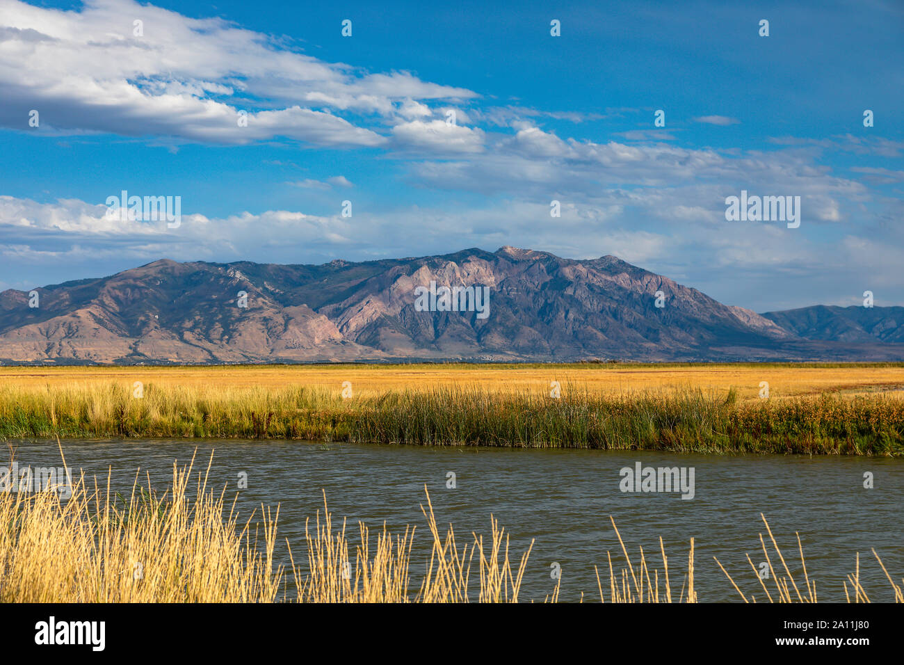 Willard utah hi-res stock photography and images - Alamy