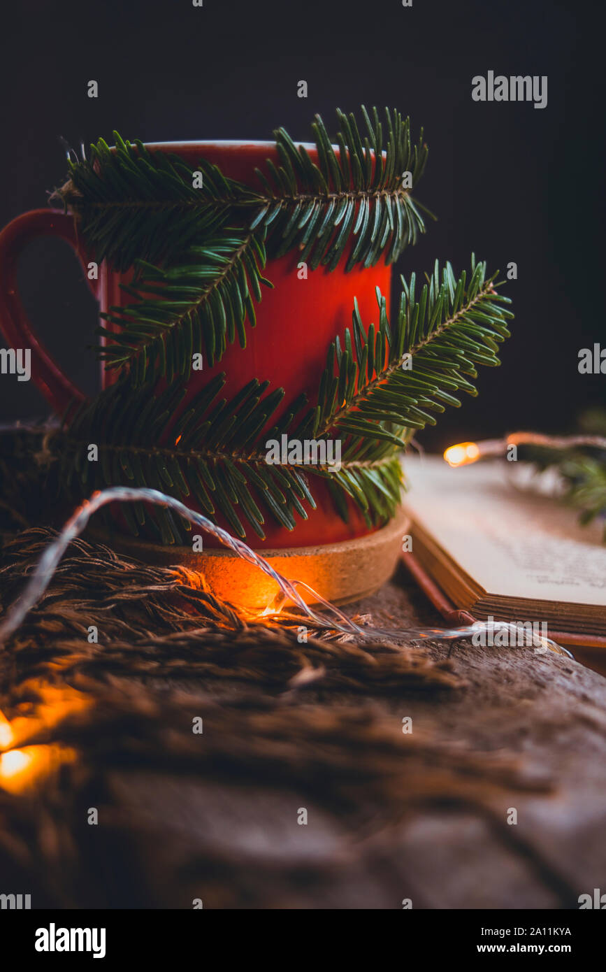 Pine cup hi-res stock photography and images - Alamy