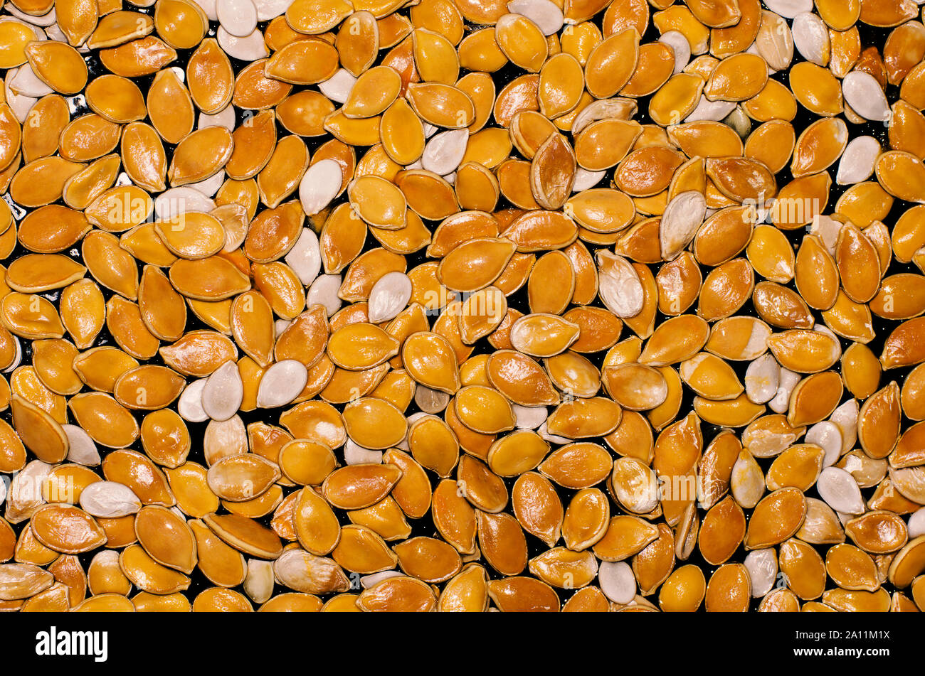 Shiny wet orange and white pumpkin seeds on a black background Stock ...