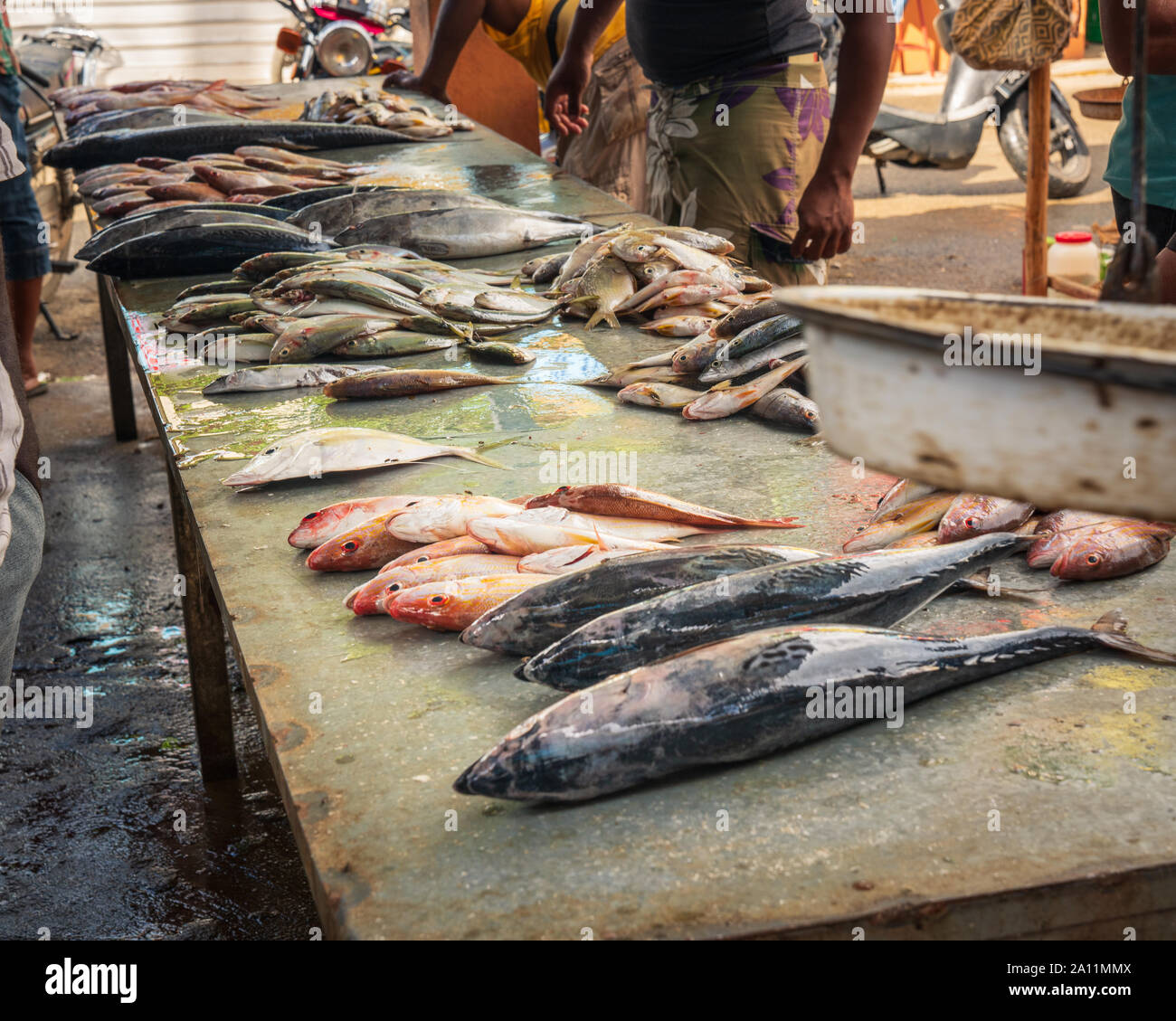 retail sale of fish on the dirty counter at the fish market, around ...