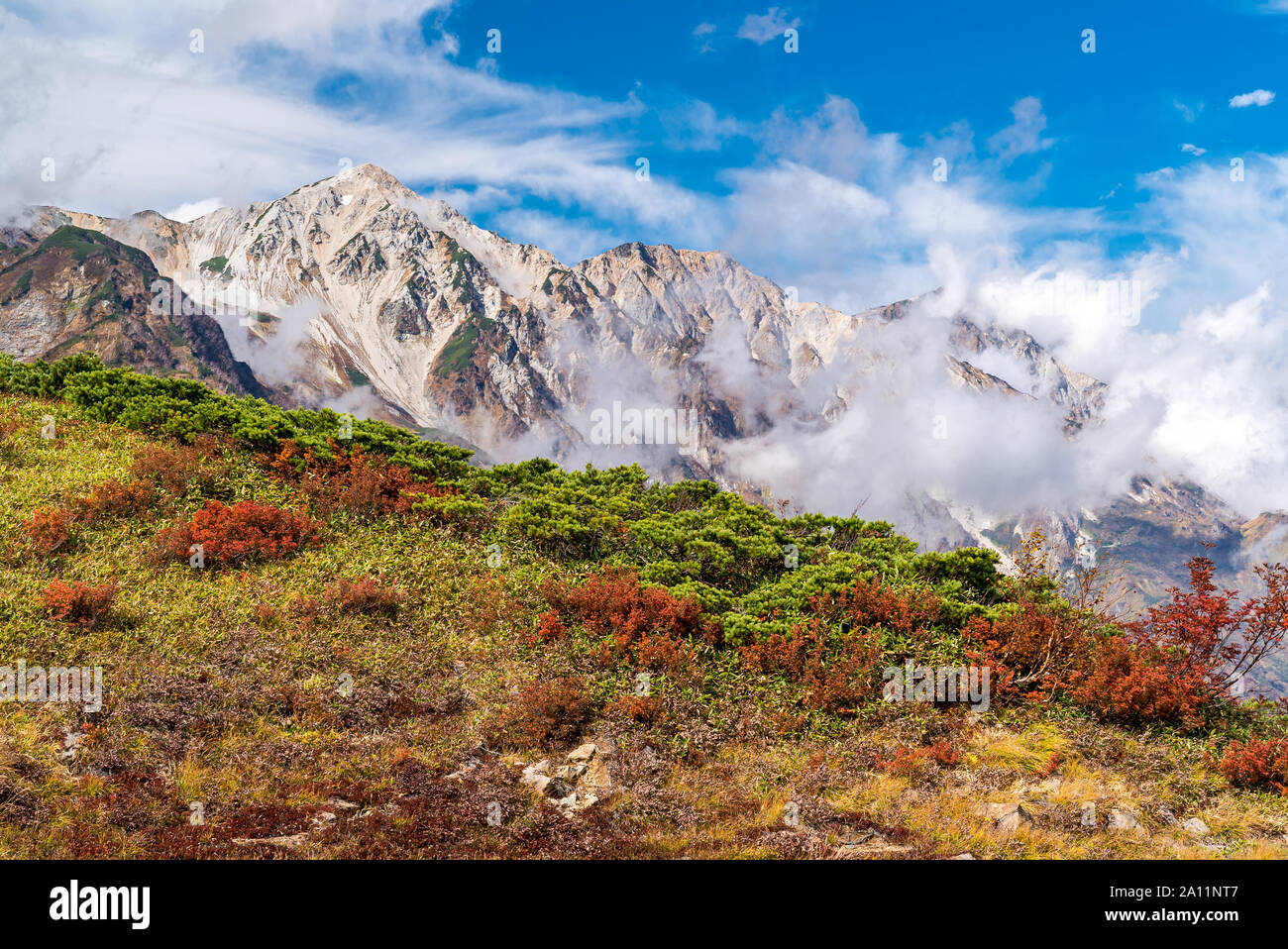 Landscape of Autumn Fall of Hakuba Valley in Nagano Chubu Japan Stock ...