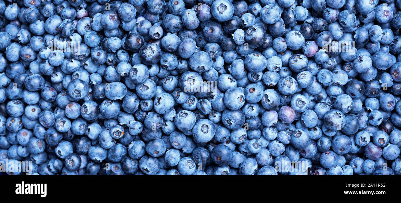 Fresh blueberries background with copy space for your text. Border ...