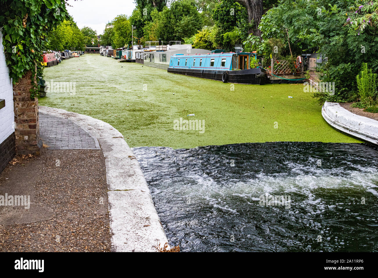 Under Bridge Union Canal View of a Bubble Gate and Surface Plant Growth ...
