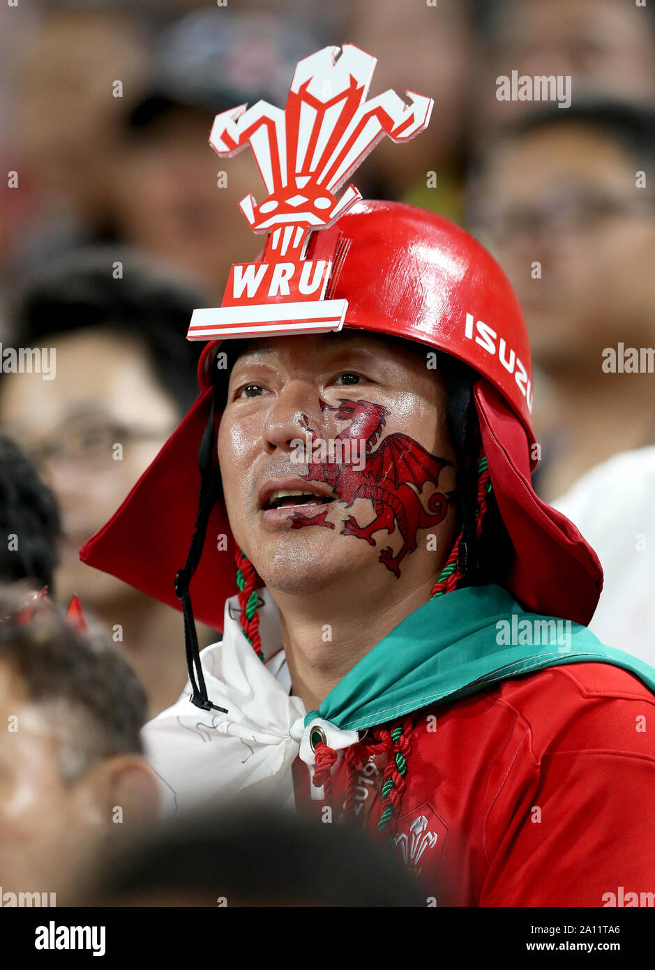 A fan of Wales in the stands during the 2019 Rugby World Cup Pool D ...