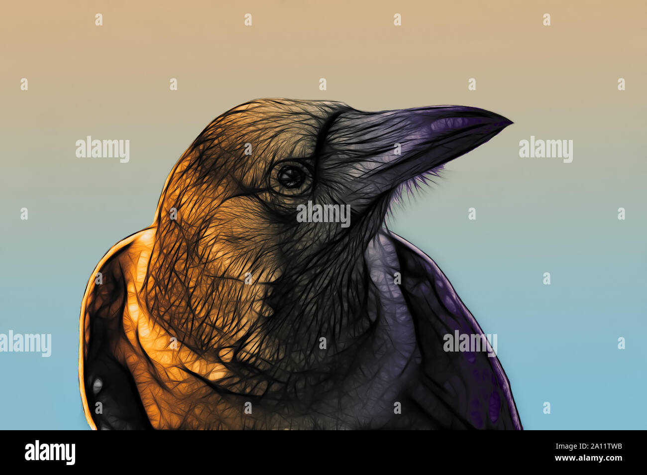 Crows pictures hi-res stock photography and images - Alamy