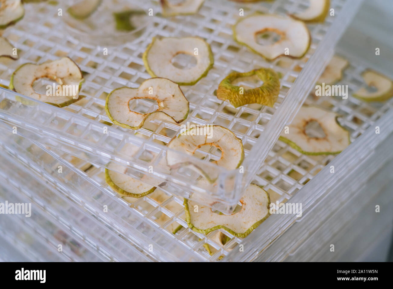 Dehydrating sheets with pieces of apples. Vegetarian apple chips in ...