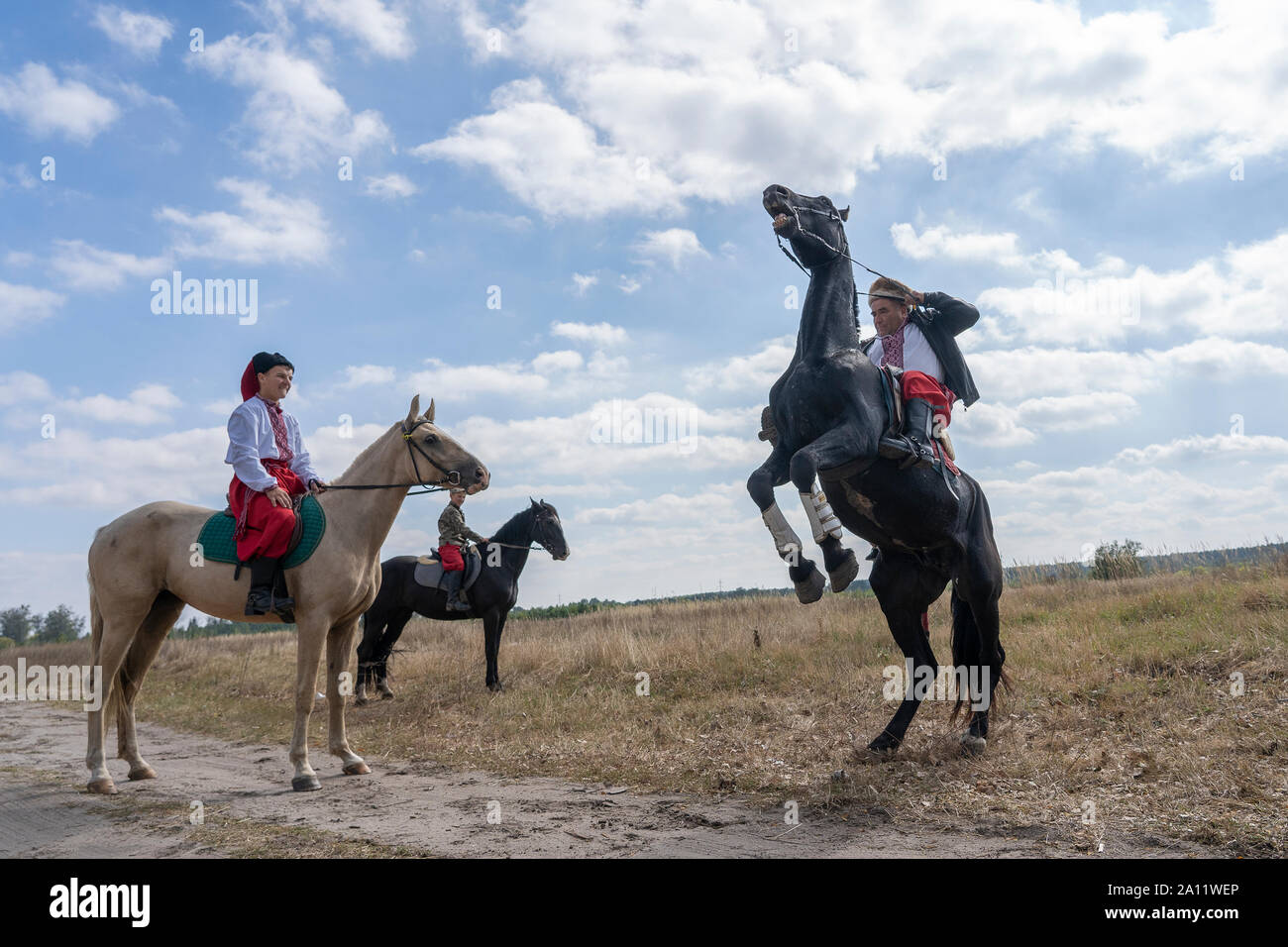 Ukrainian horse hi-res stock photography and images - Alamy