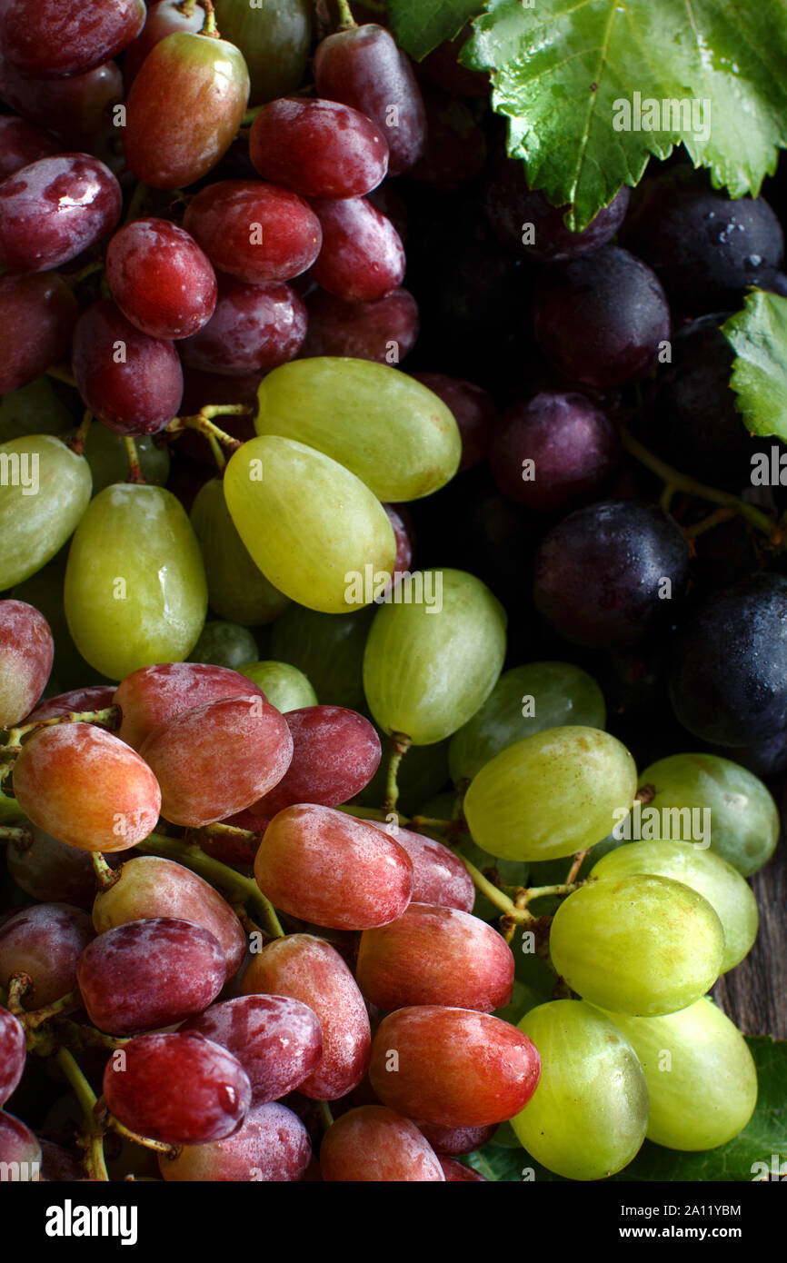 Three types of grapes - red, blue and white - close up Stock Photo - Alamy