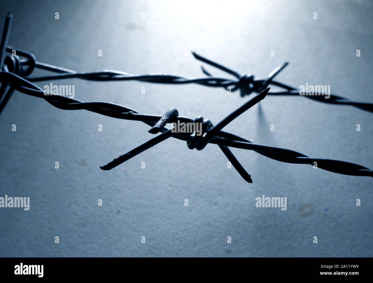 Barbed wire wrap hi-res stock photography and images - Alamy