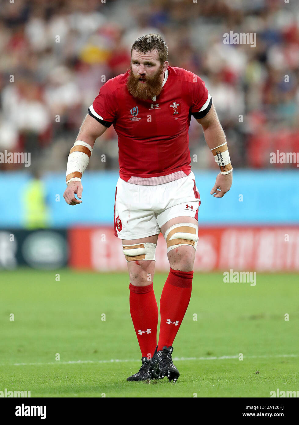 Wales' Jake Ball during the 2019 Rugby World Cup Pool D match at City ...