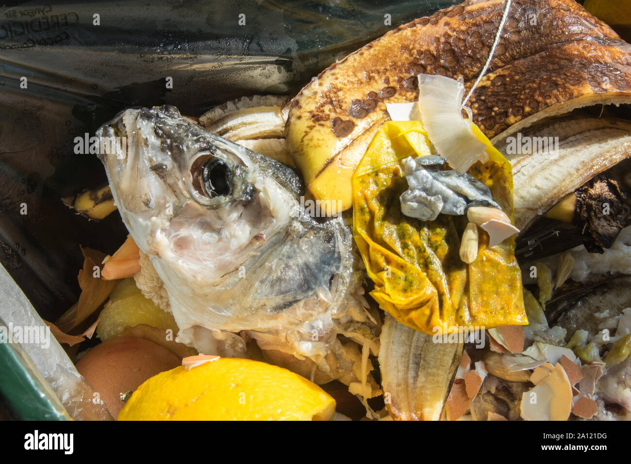 Compost waste in caddy hi-res stock photography and images - Alamy