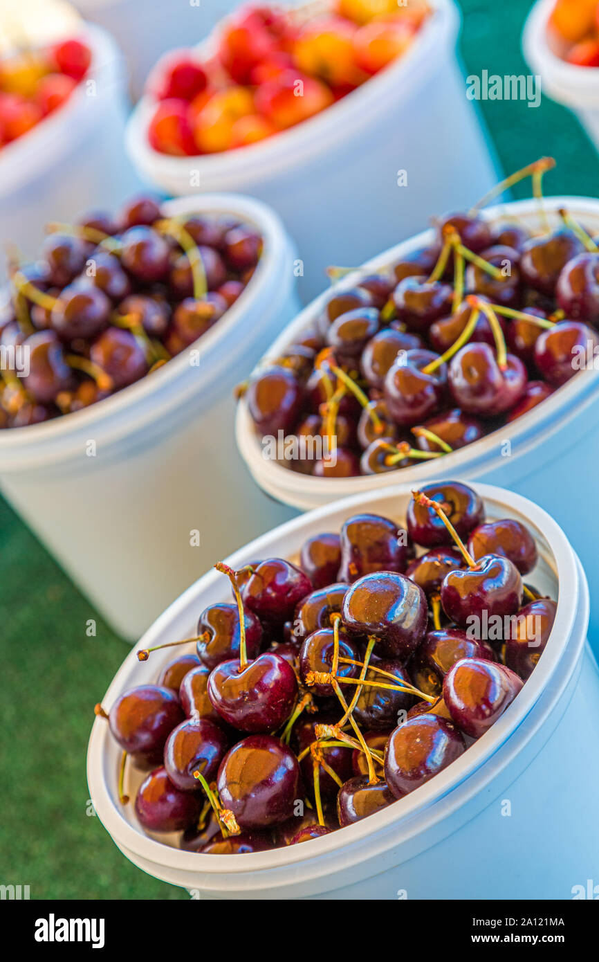 Bing Cherries High Resolution Stock Photography and Images - Alamy
