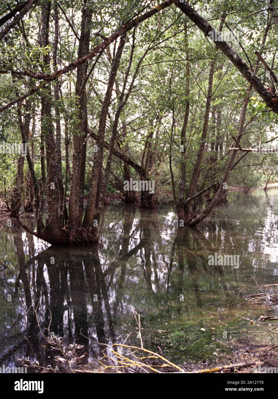 Dept of ecology hi-res stock photography and images - Alamy